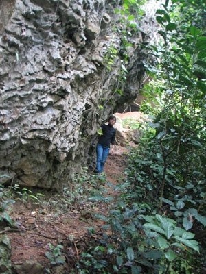 Huyền bí hang Con Moong chốn rừng thiêng